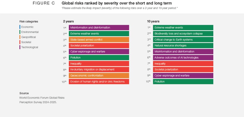 Global Risks Report 2025 | World Economic Forum