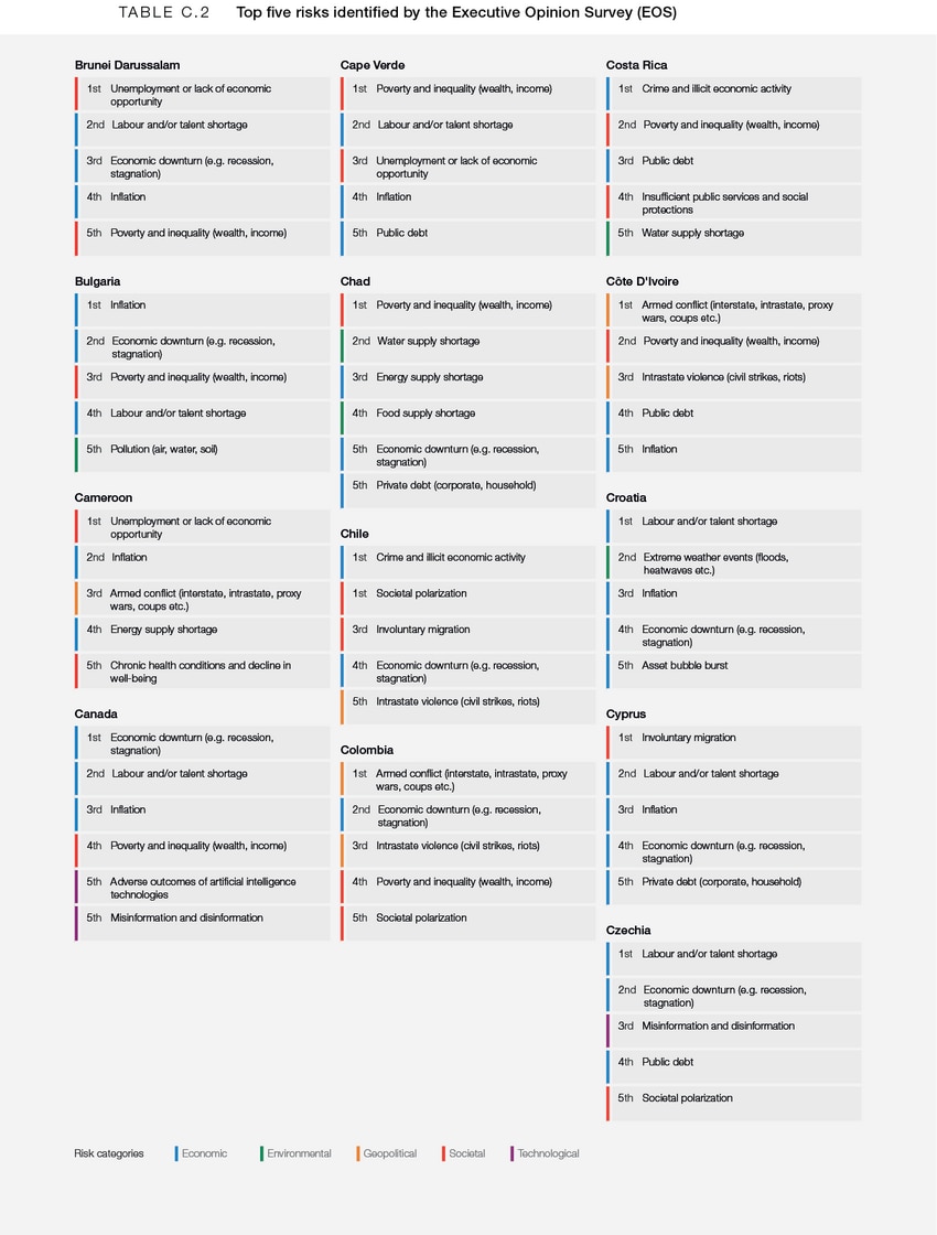 Appendix: C - Global Risks Report 2025 | World Economic Forum