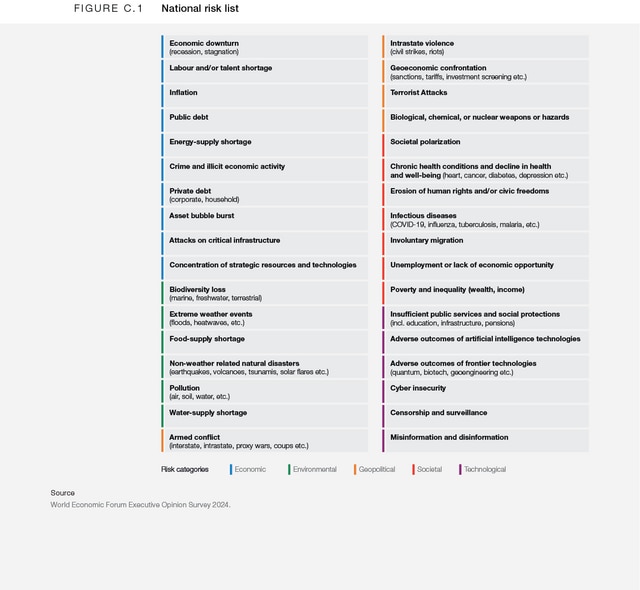 Appendix: C - Global Risks Report 2025 | World Economic Forum