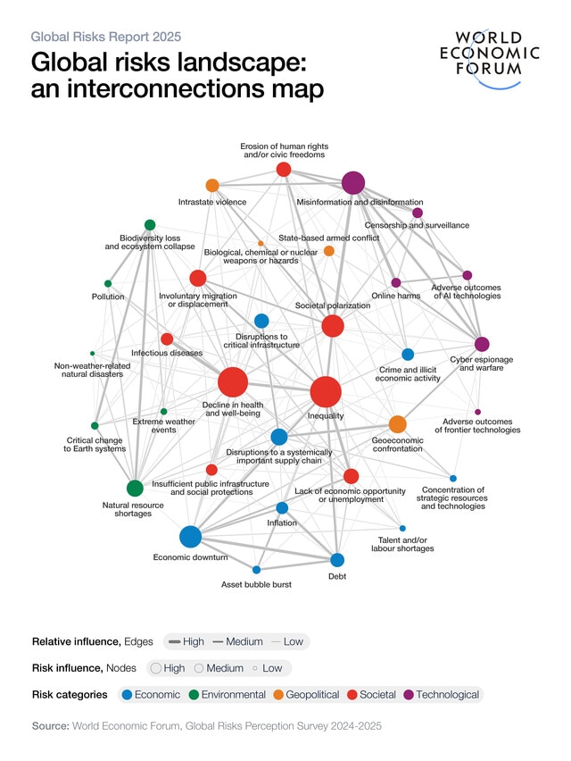 Global Risks Report 2025 | World Economic Forum