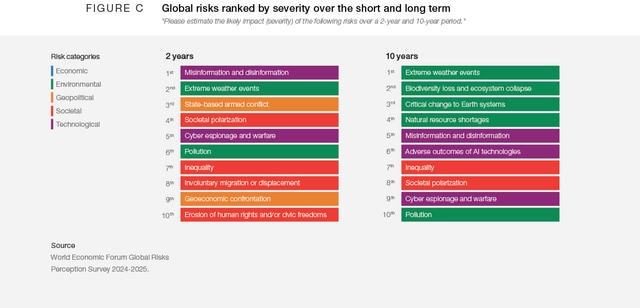 Global Risks Report 2025 | 世界经济论坛