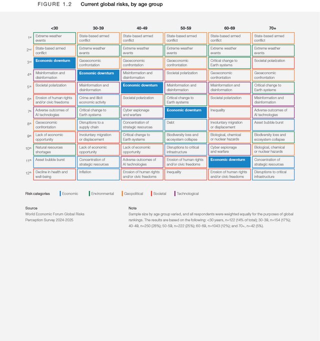 Global Risks Report 2025 | World Economic Forum