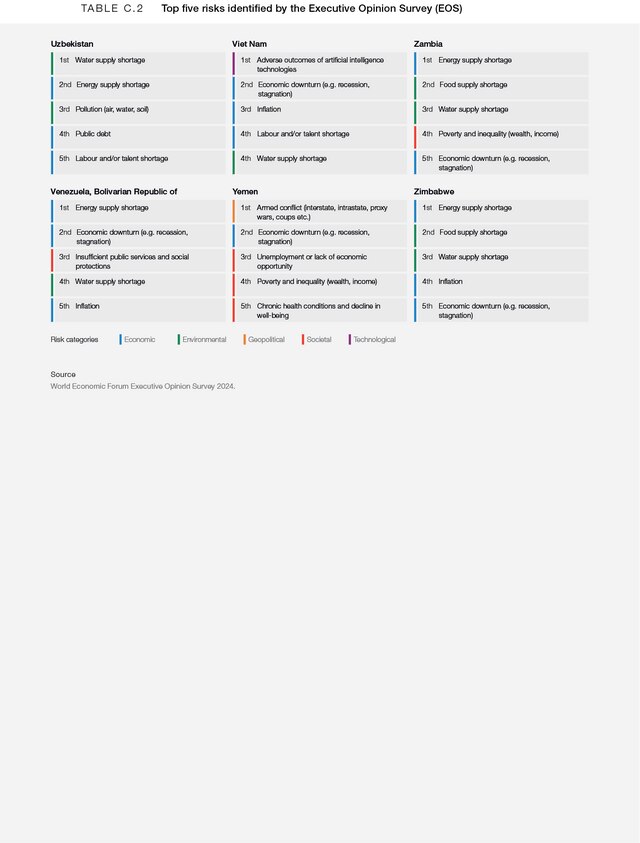 Appendix: C - Global Risks Report 2025 | World Economic Forum