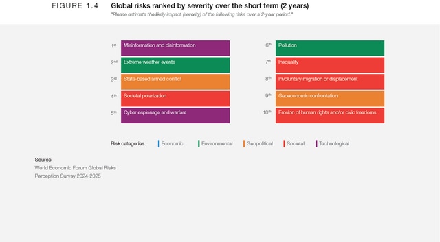 Global Risks Report 2025 | World Economic Forum