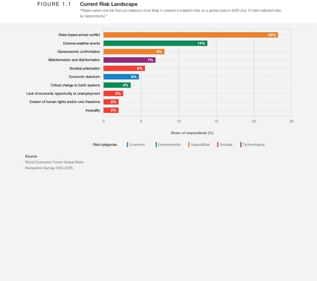 Global Risks Report 2025 | World Economic Forum