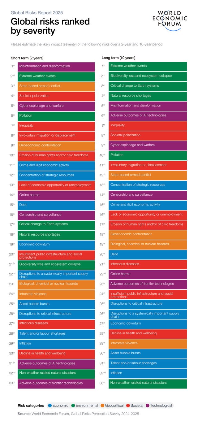 Global Risks Report 2025 | World Economic Forum