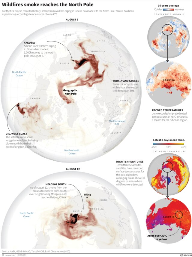 Wildfires around the world: In pictures | World Economic Forum