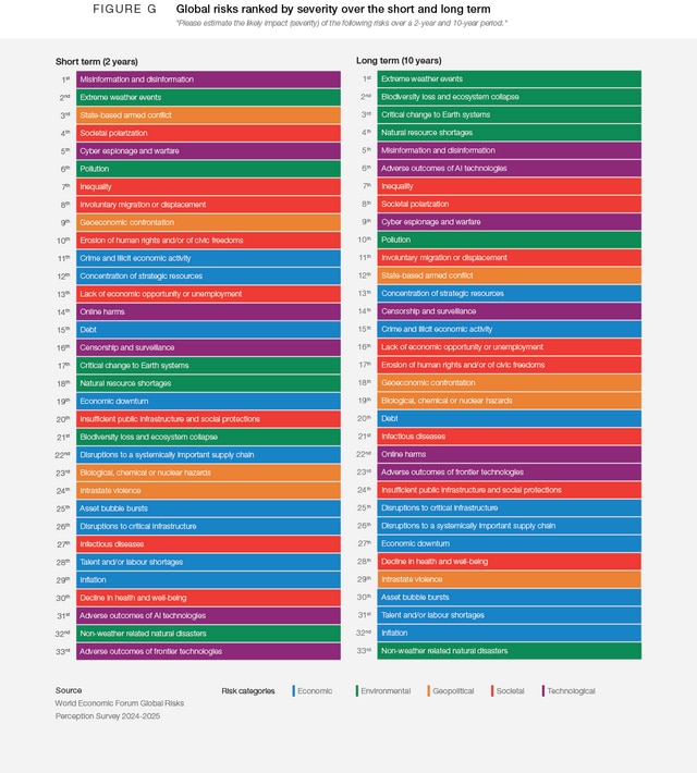 Global Risks Report 2025 | World Economic Forum