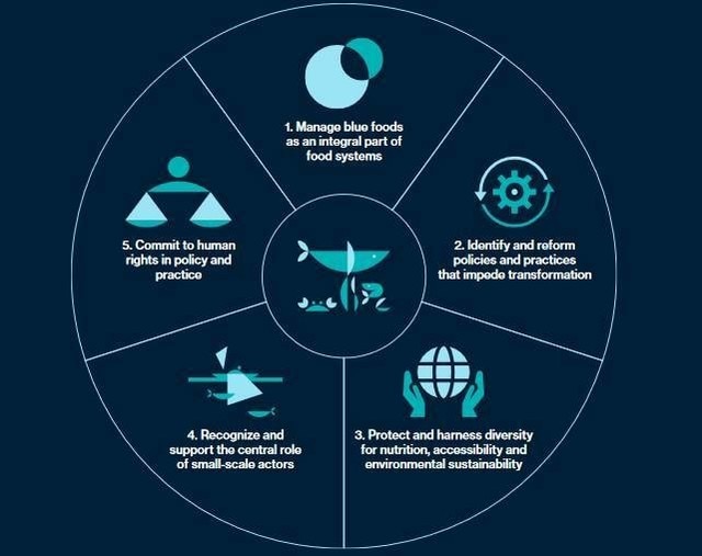 Why blue food > Blue Food Partnership | World Economic Forum