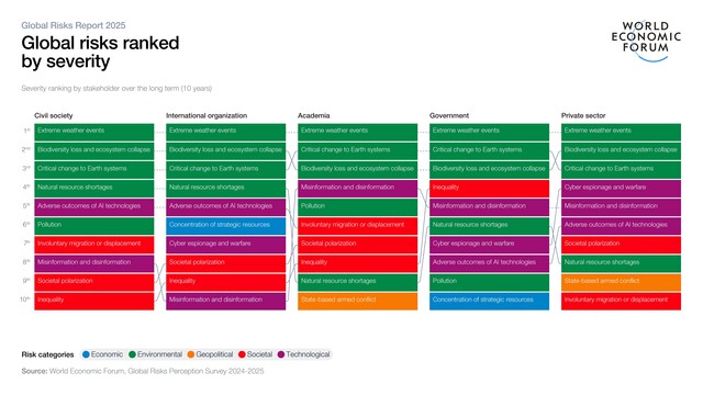 Global Risks Report 2025 | 世界経済フォーラム