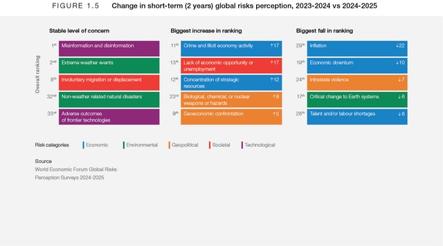 Global Risks Report 2025 | World Economic Forum