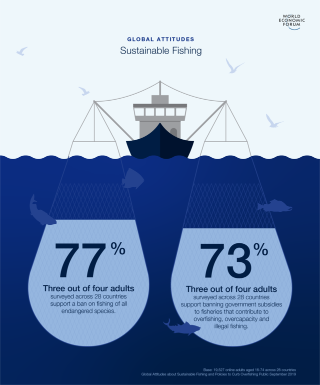 Overwhelming Public Support for Ban on Fishing for Endangered Species ...