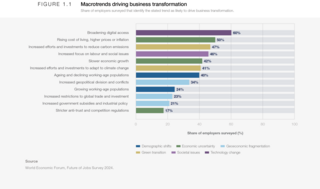 1. Drivers of labour-market transformation - The Future of Jobs Report ...