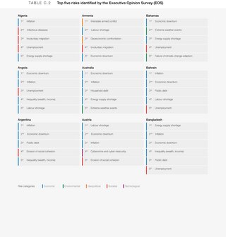 Appendix C: Executive Opinion Survey: National Risk Perceptions ...