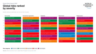 Global Risks Report 2025 | World Economic Forum