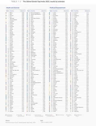 Benchmarking gender gaps, 2023 - Global Gender Gap Report 2023 | World ...