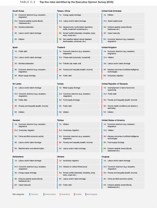 Appendix: C - Global Risks Report 2025 | World Economic Forum