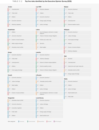 Appendix C: Executive Opinion Survey: National Risk Perceptions ...
