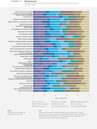 Appendix: D - Global Risks Report 2025 | World Economic Forum