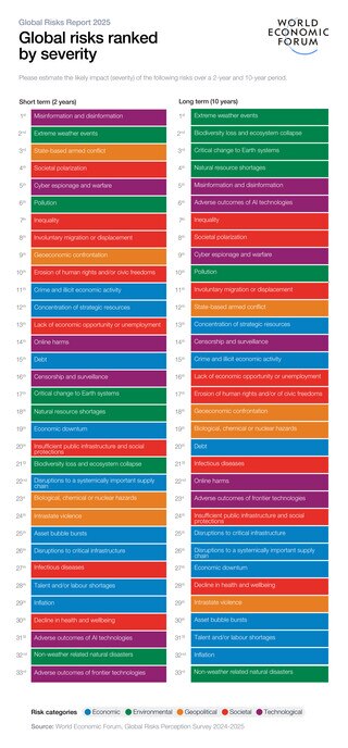 Global Risks Report 2025 | World Economic Forum