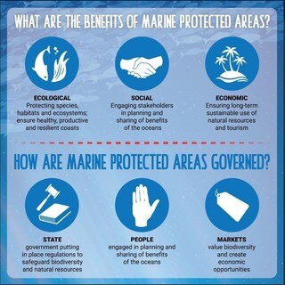 Chart of the day: Why marine protected sites matter more than ever ...