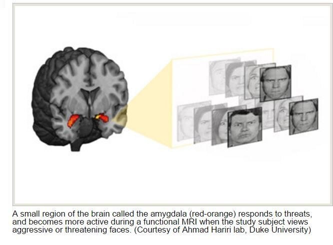Growing up in poverty can change your DNA and increase your risk of ...