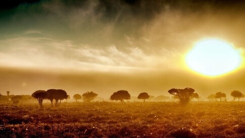 Mapping Solutions for: Extreme Weather > World Economic Forum Annual ...