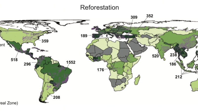 Restoring the Earth: 1t.org Announced to Accelerate Nature Restoration ...