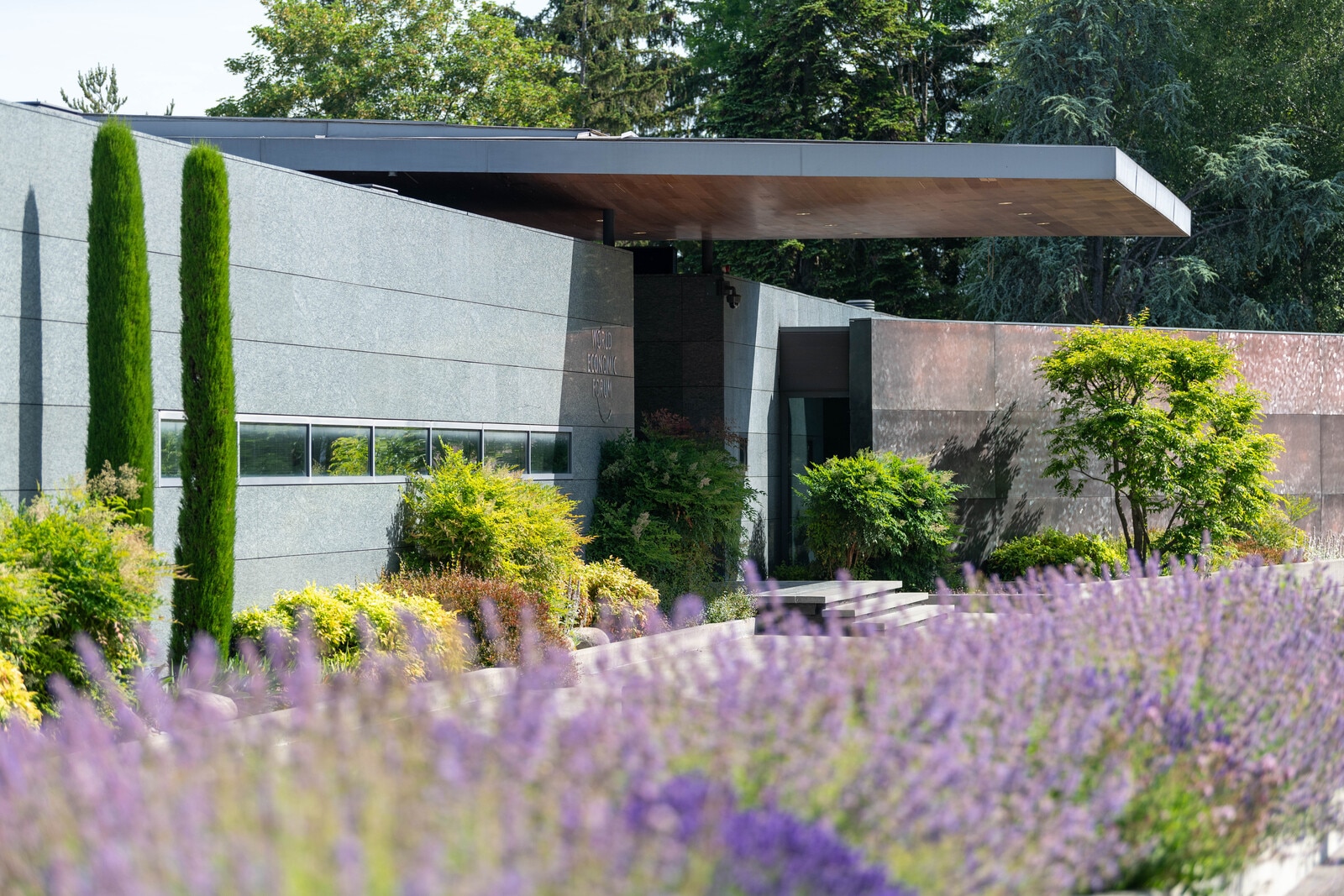 Annual Report 2023-2024 | World Economic Forum