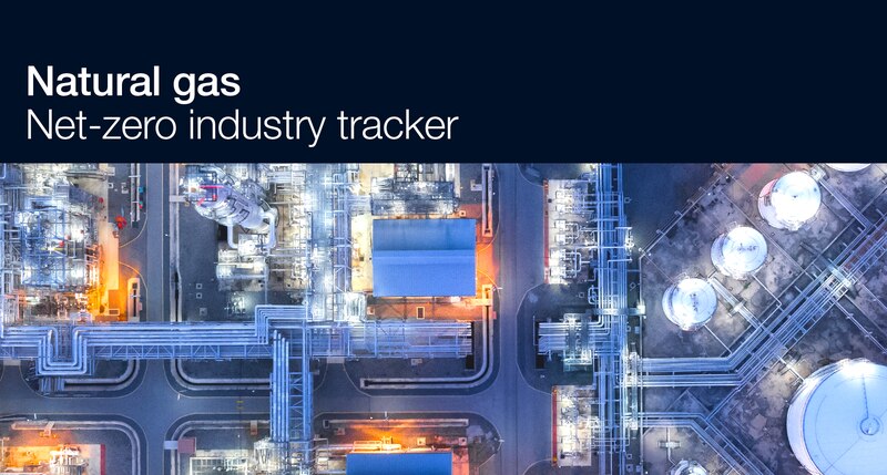 The Net-Zero Industry Tracker: An interactive guide for executives ...