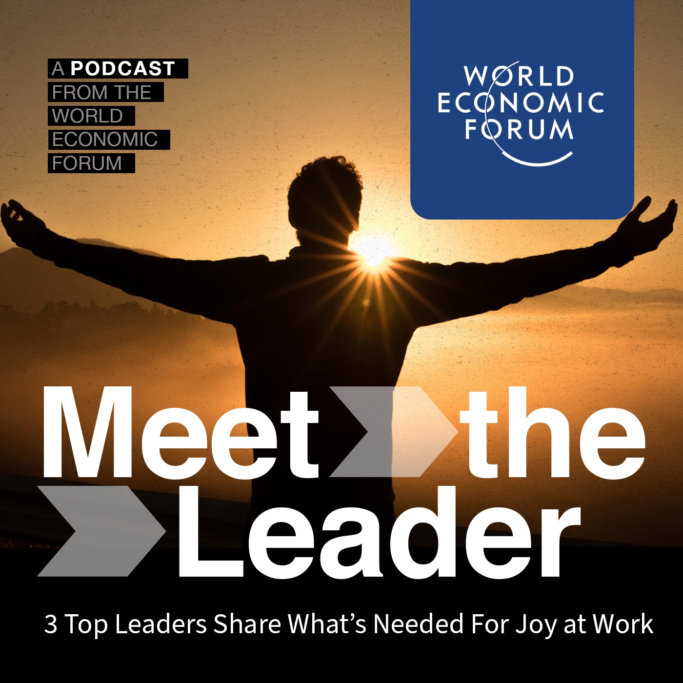 Meet the Leaders: A World Economic Forum Podcast | World Economic Forum
