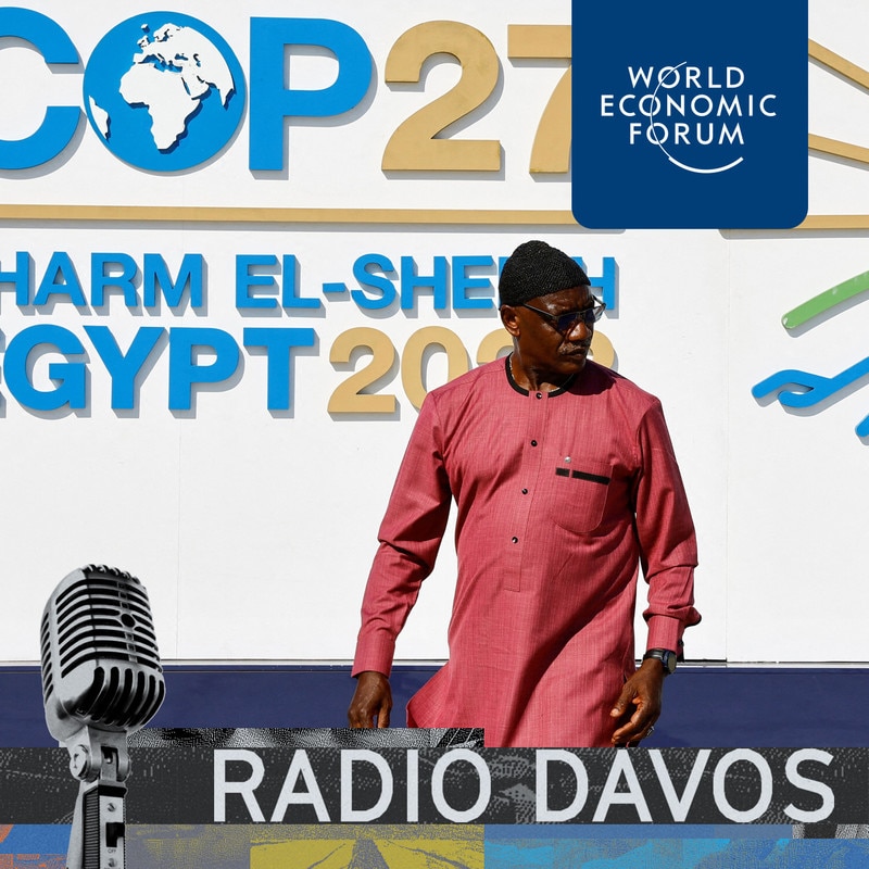 COP27: what to expect from the climate summit | World Economic Forum