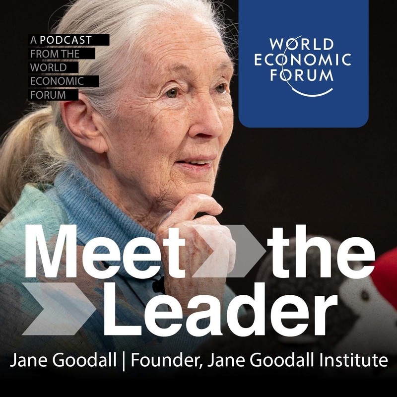 Activist Jane Goodall on hope, making change happen | World Economic Forum