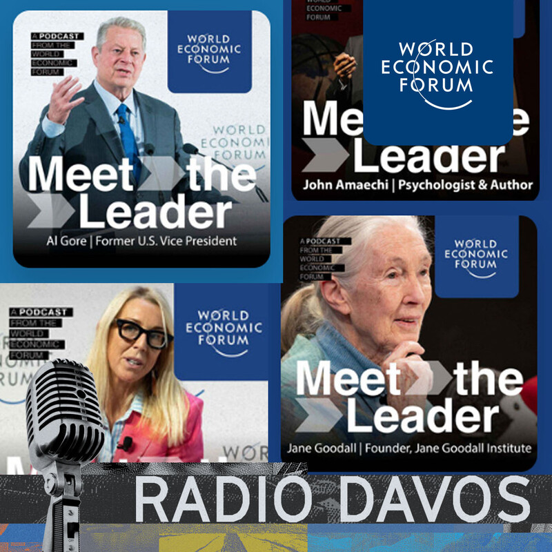 Lessons in leadership we can all learn from: celebrating 100 episodes of Meet the Leader | World ...