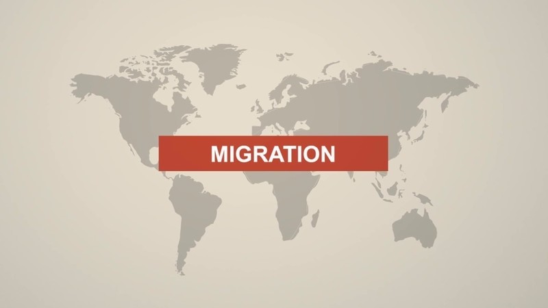 Facts About Migration | World Economic Forum