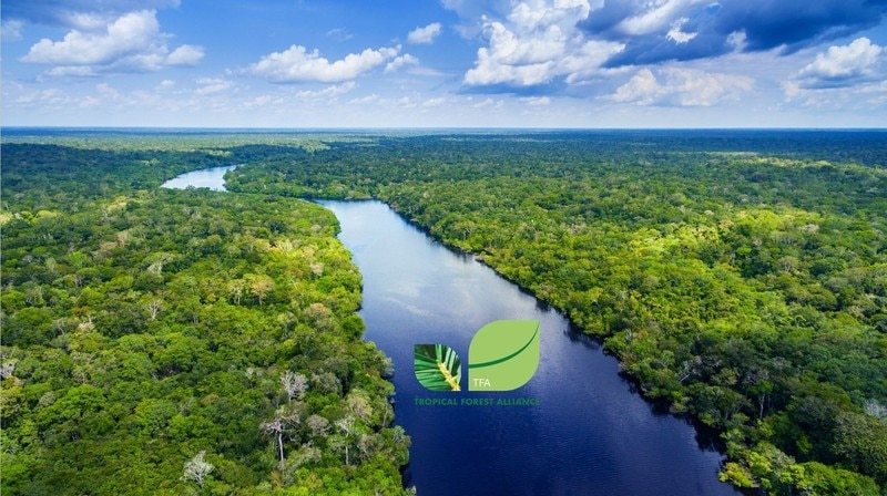 TFA 2020 | World Economic Forum