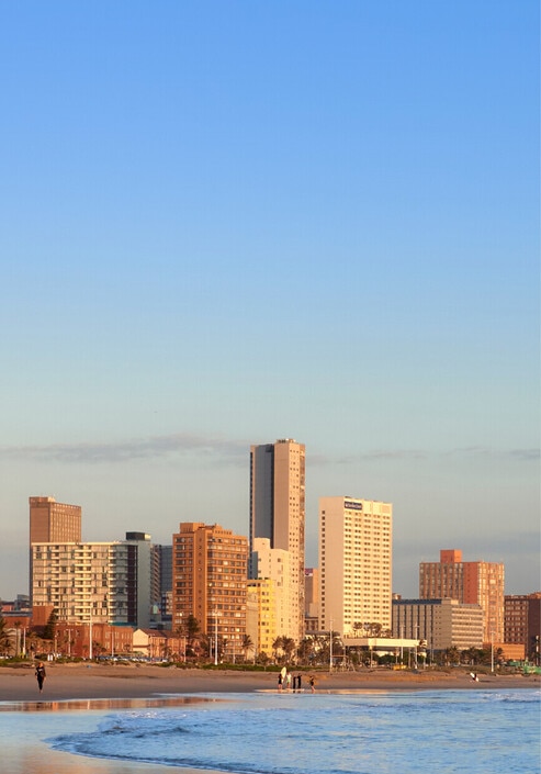 Nature Positive: Cities’ Efforts to Advance the Transition – Durban ...