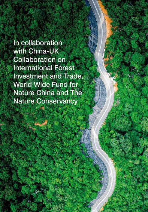 China’s Role in Promoting Global Forest Governance and Combating ...