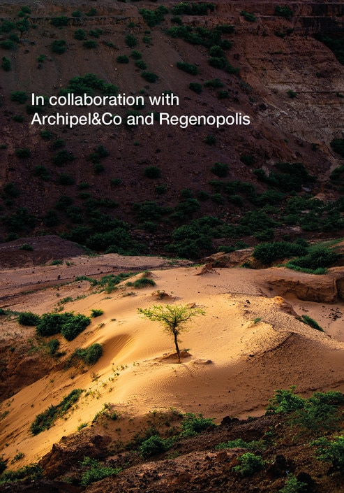 The Untapped Potential of Great Green Wall Value Chains: An Action ...