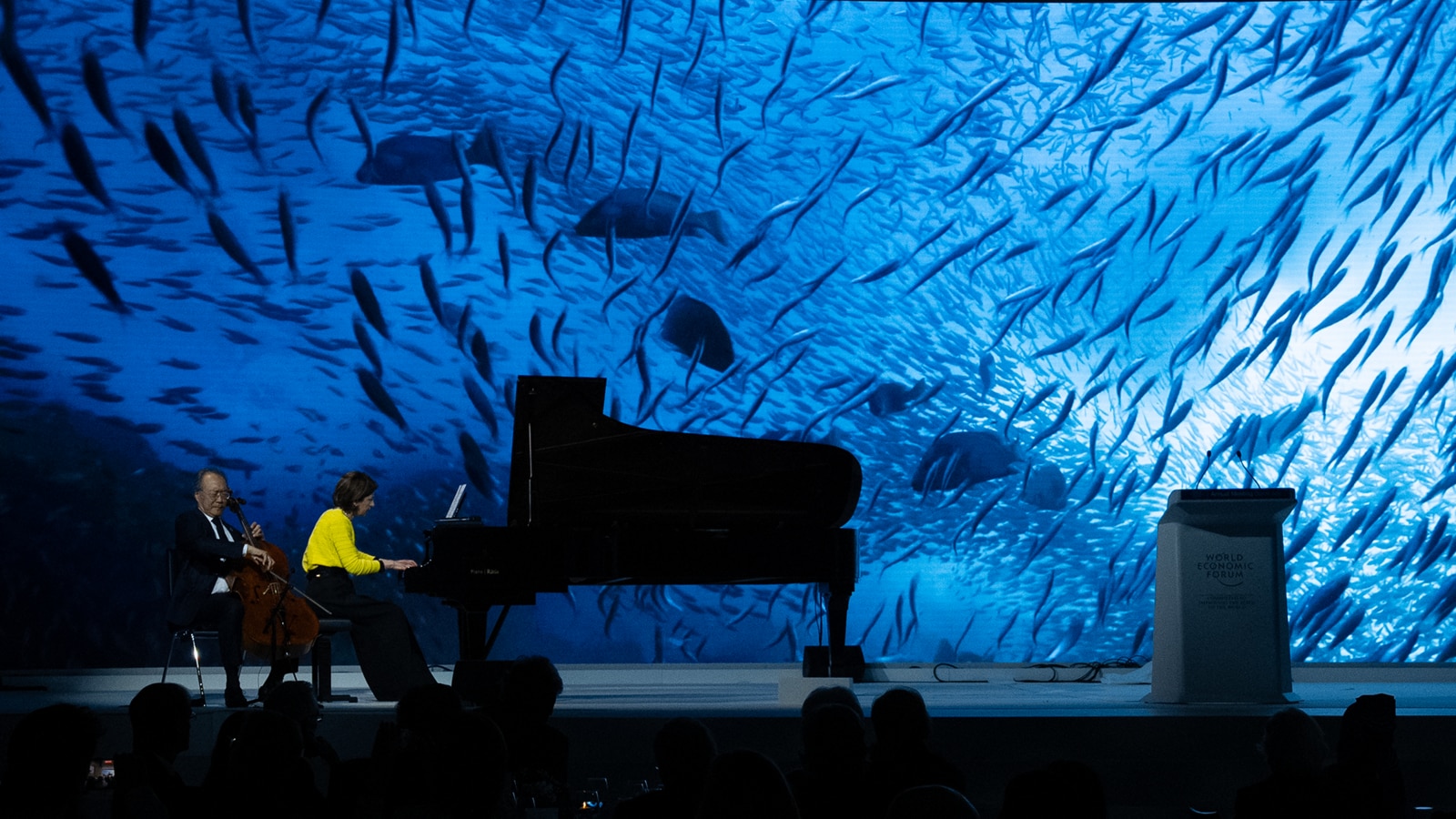 How much carbon does the ocean absorb? | World Economic Forum