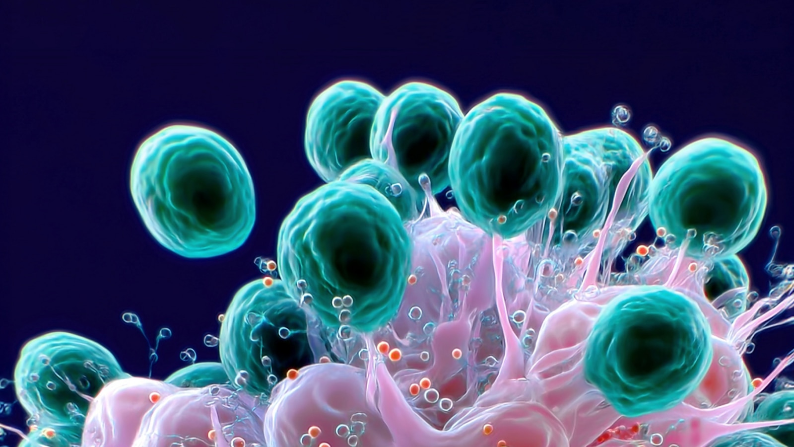 AI value alignment: Aligning AI with human values | World Economic Forum