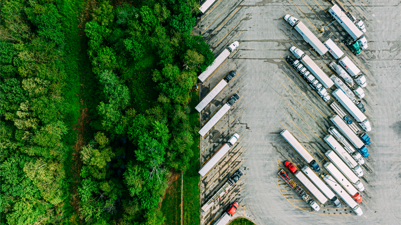 EVs to reach 25% of global car sales this year and other climate news | World Economic Forum