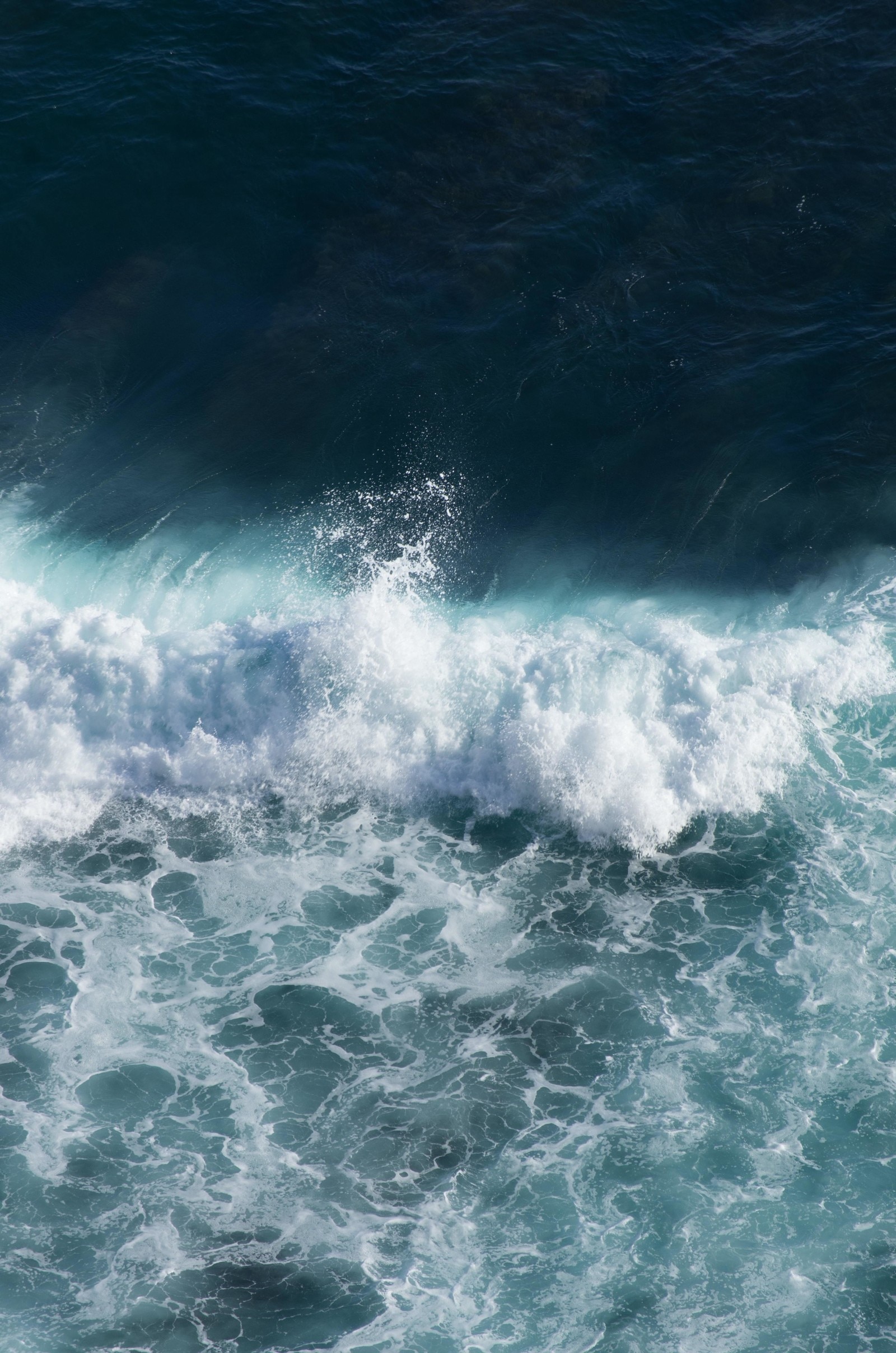 Blue economy: how business leaders and scientists are improving ocean ...