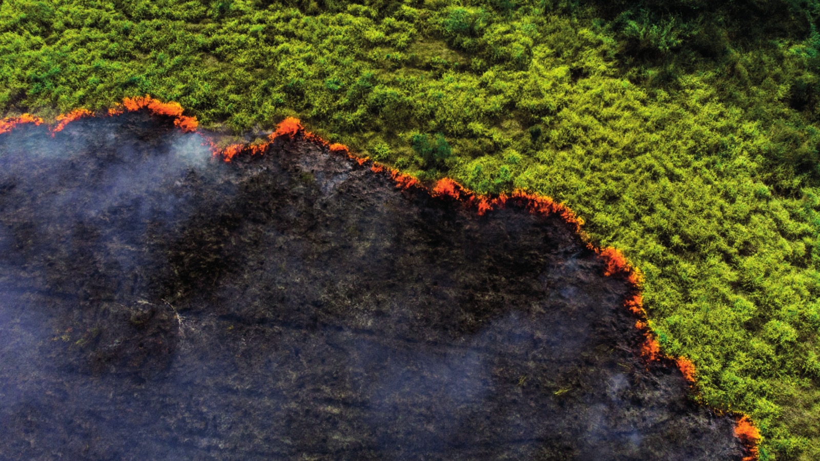 TFA 2020 | World Economic Forum