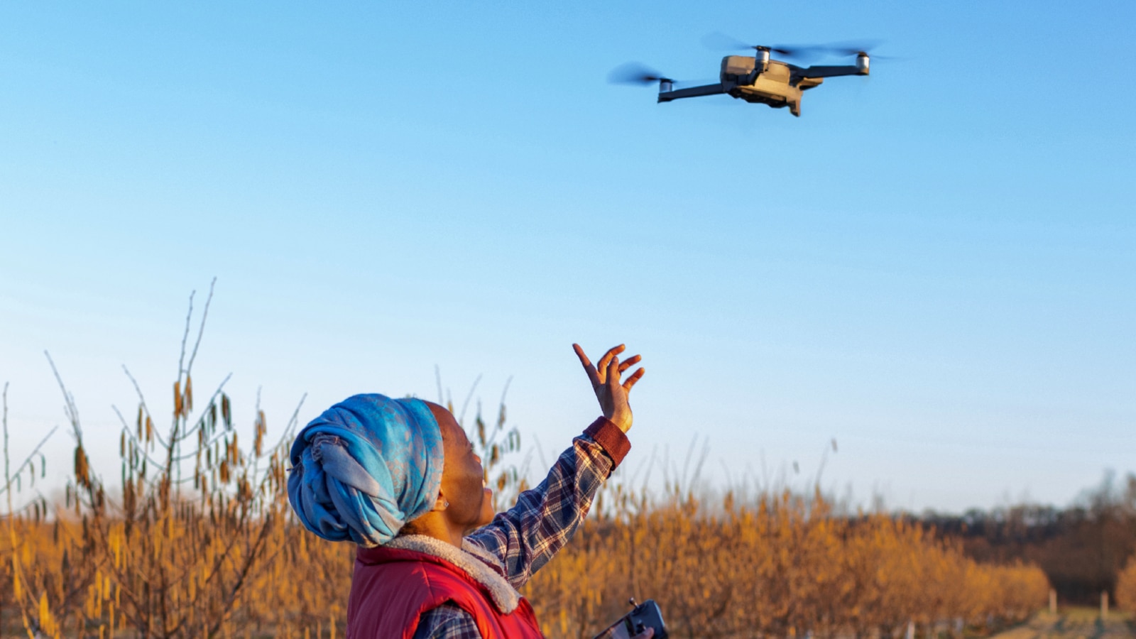 What do the jobs of the future look like? | World Economic Forum