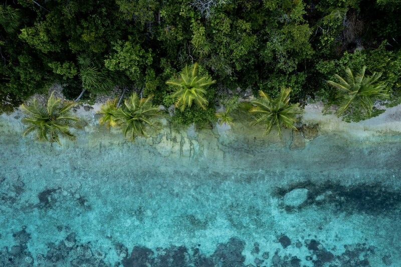 Why should we care about the ocean? | World Economic Forum