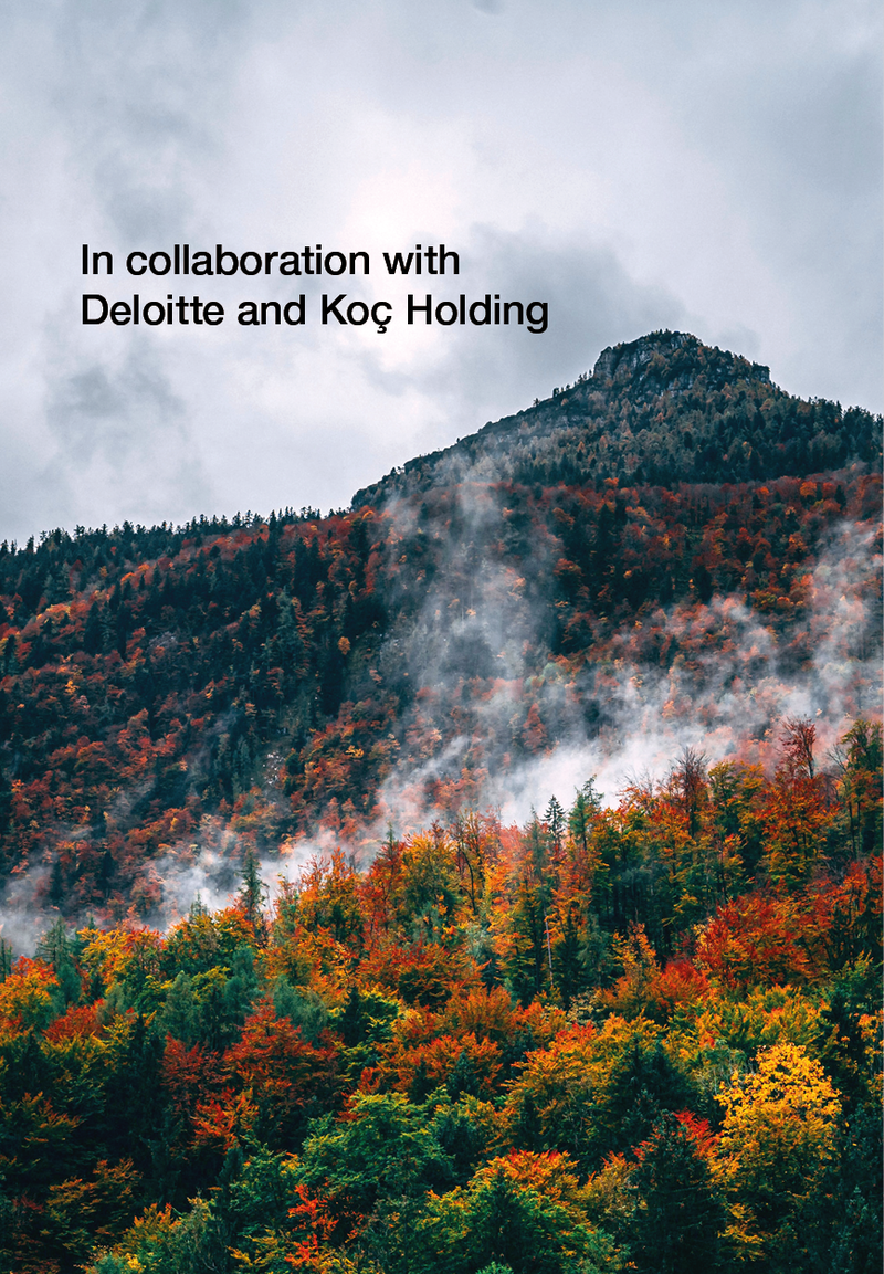 The Power Of Ai In Wildfire Prediction And Prevention World Economic Forum