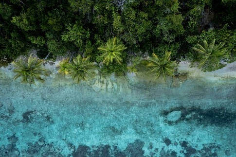 Why should we care about the ocean? | World Economic Forum