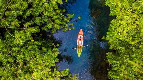 Why should we care about the ocean? | World Economic Forum