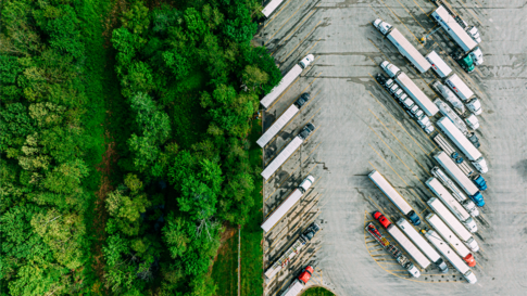 This is what global deforestation looks like around the world | World ...